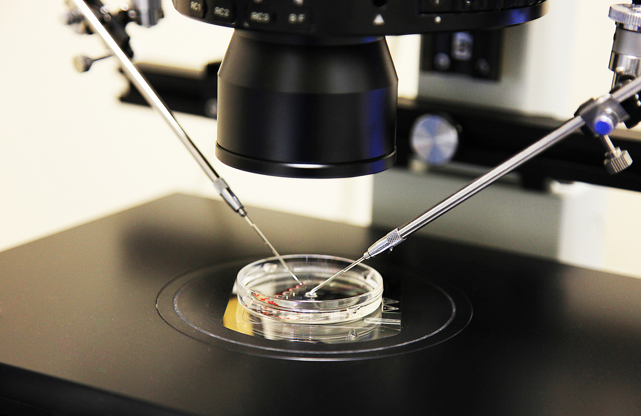 probe de laborator title - Naste natural